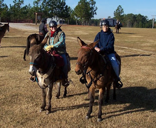 St.Clair Red Mule Farm -Mule & Donkey Adventures: H. Cooper Black ...