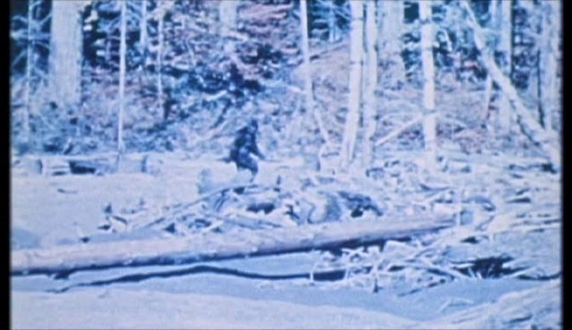 Yeti sightings in Himalayas - Unsolved Mysteries India