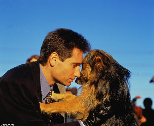 White Wolf : The X-Files Actor Starts "Lick My Face" Campaign to Save ...