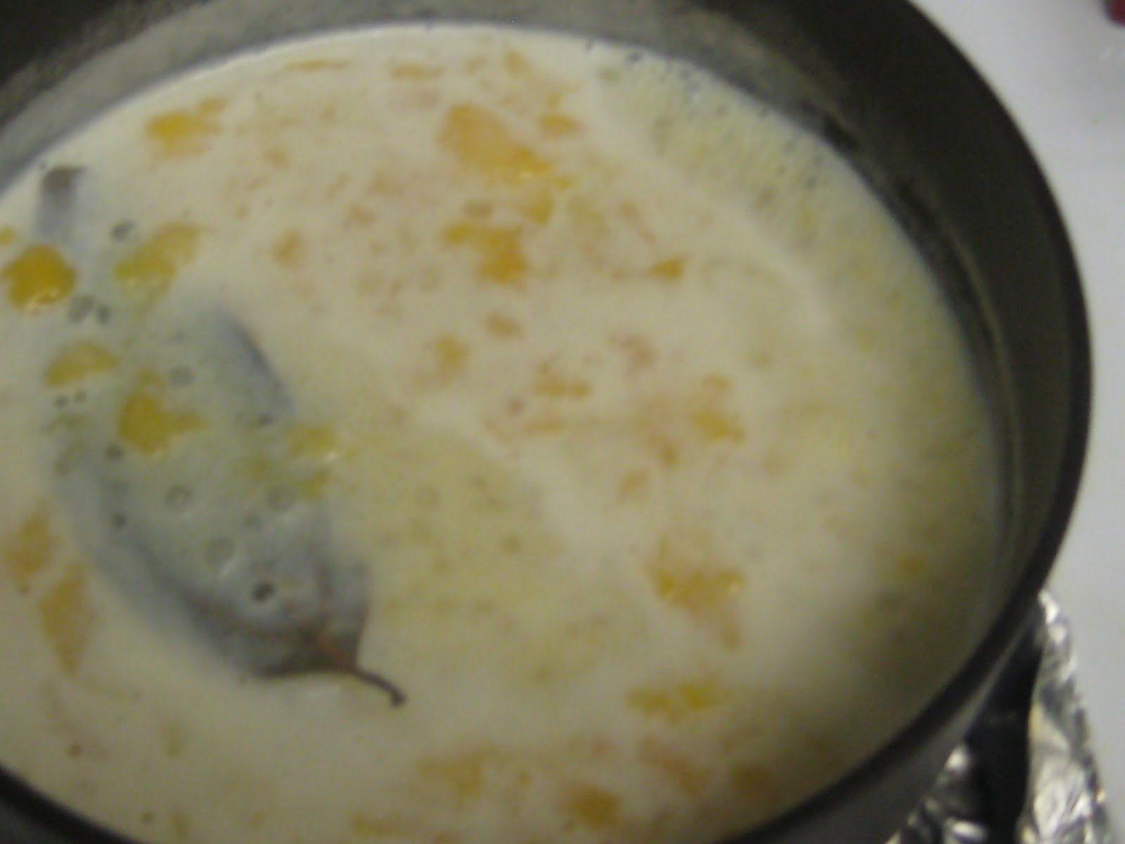 Mango Flavored Low-Fat Tapioca Pudding (Sabudana Pudding-Kheer) ~ Lucky ...