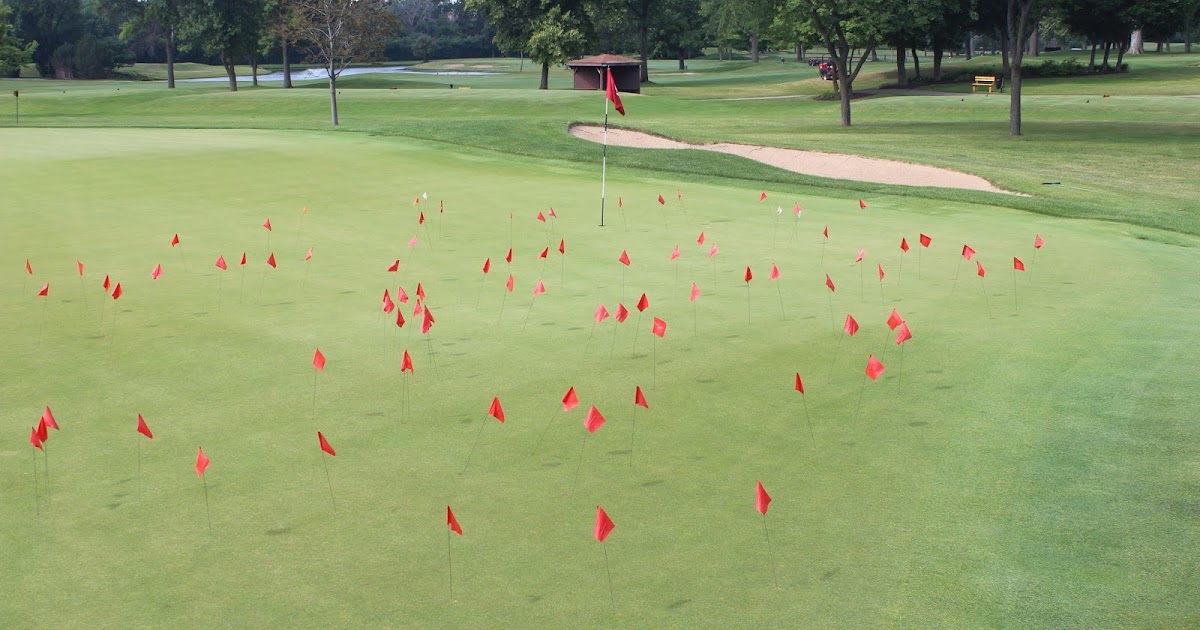 Northmoor Country Club Golf Course Operations: Critical Situation