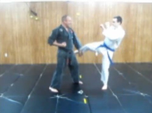 Low "blocks" against kicks - are they ridiculous?