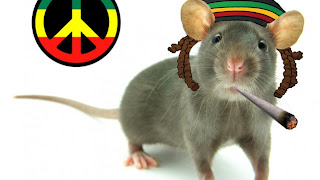 El Mito y La Mita: Jornada Tardía de Reggae Rata