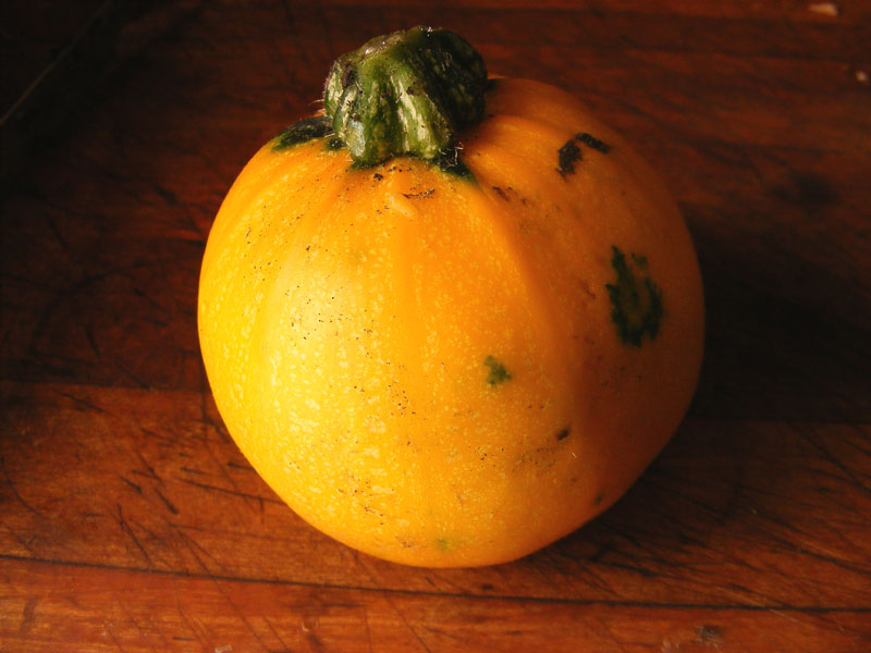 Middle of Nowhere: Little Gems