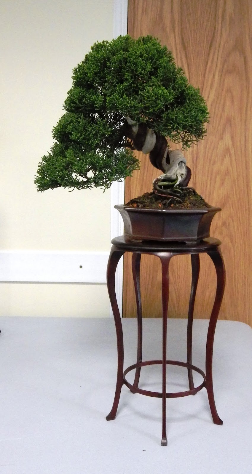 Bespoke Bonsai Stands: British Shohin Association workshop day