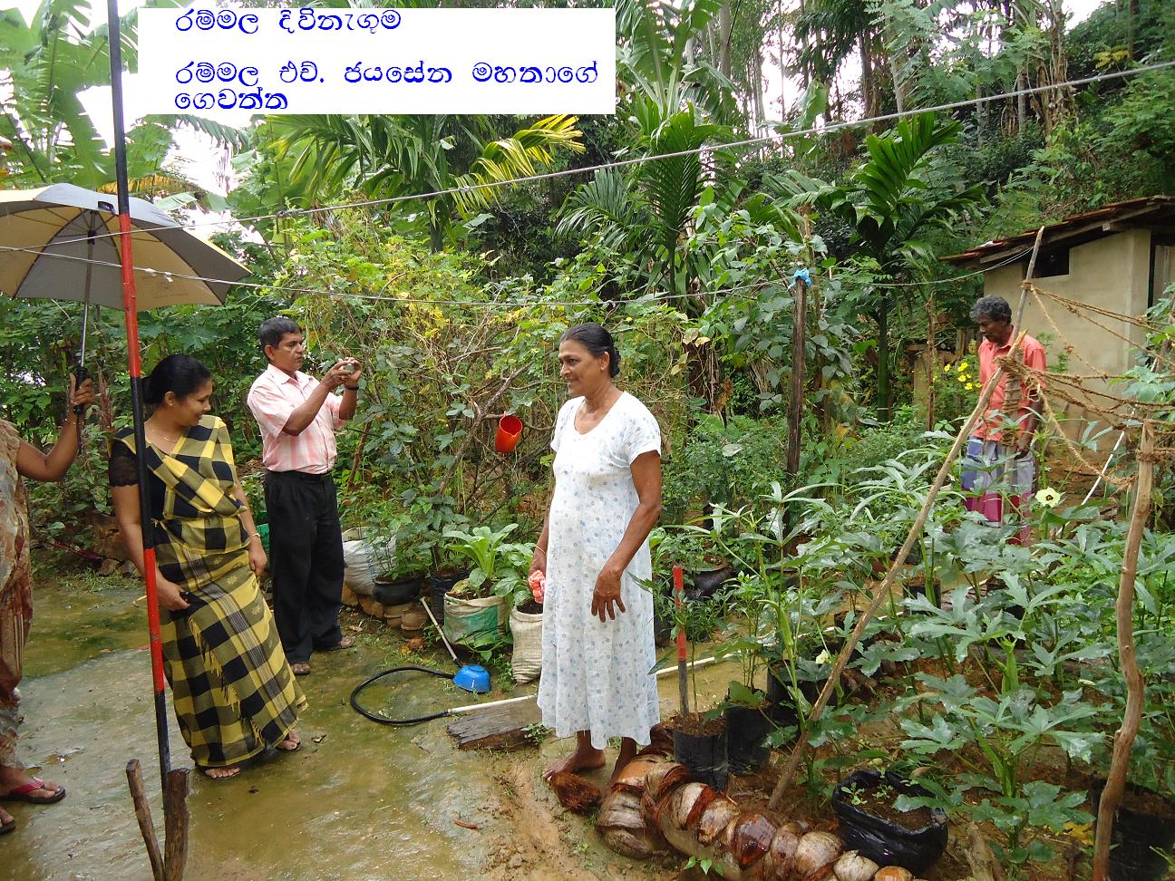 Rammala Divi Neguma: ගෙවත්තක් බලමු