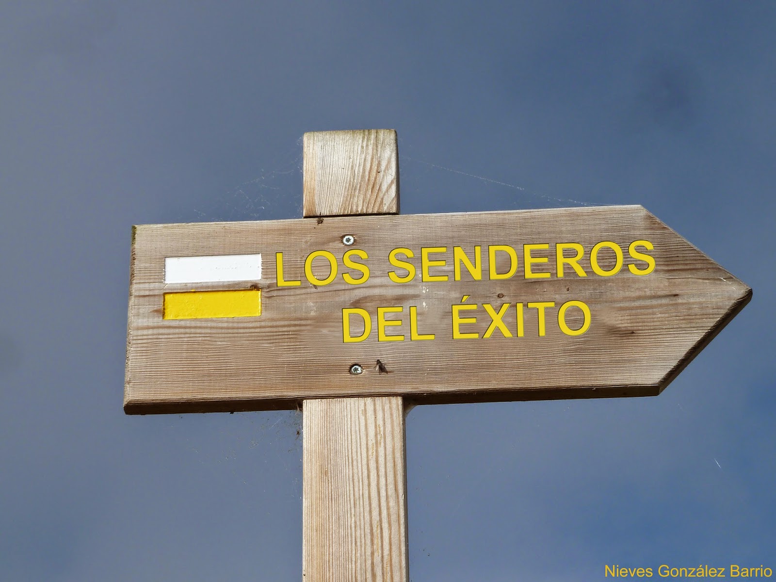 el valor de las personas: Los senderos del éxito