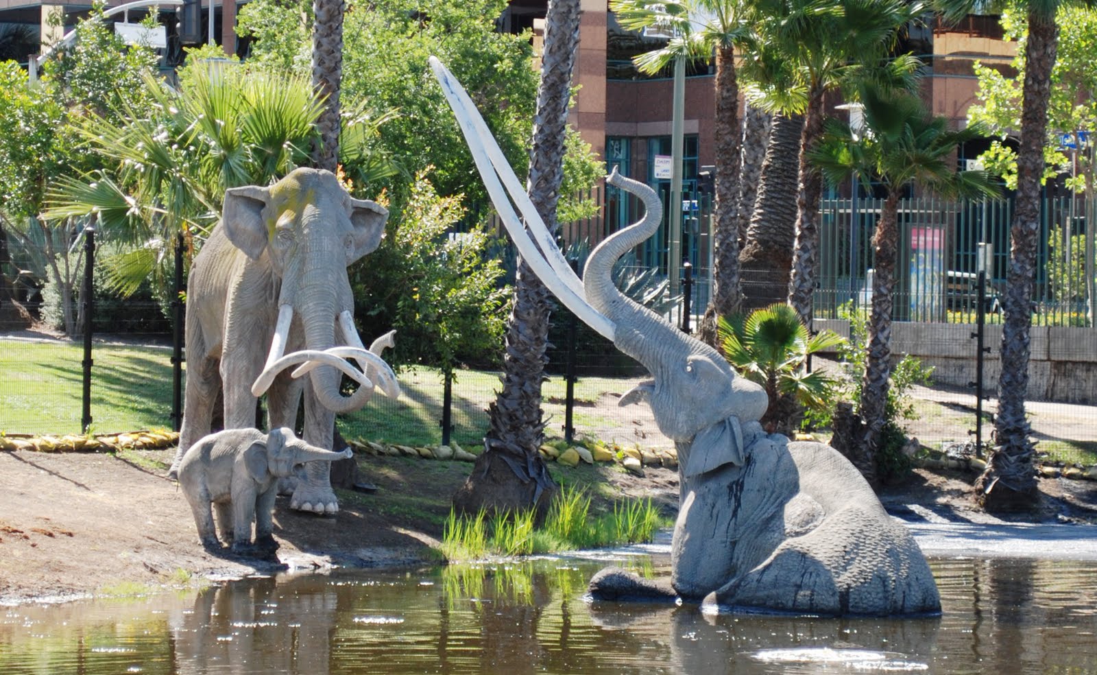 Casa de Berry: La Brea Tar Pits