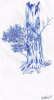 Tentang sekolah saya (sekolah menegah kebangsaan tengku intan zaharah)