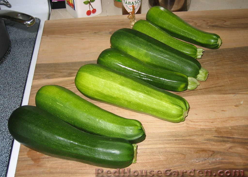 Red House Garden: October 2012