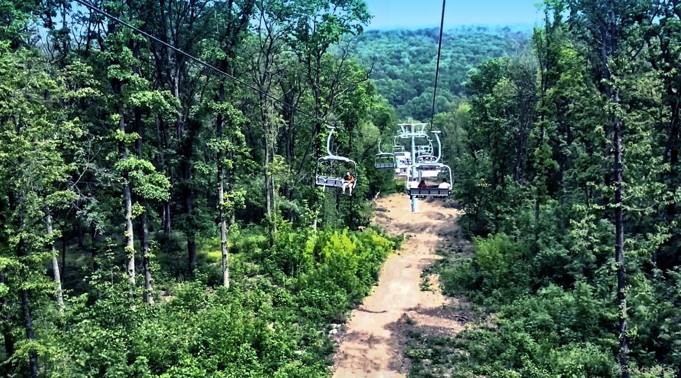 FOTO-IDEEA: Cu telegondola la premiile Oscar