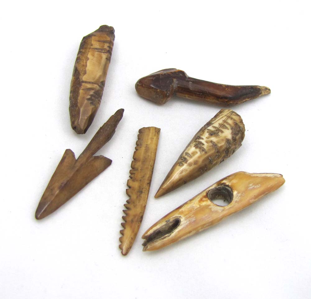 *Numinosity*: Walrus Fossil Ivory ~ A Rich Collection