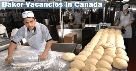 Baker Vacancies Needed To Work In Canada