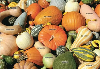 Brisa de Sabores: Quibebe