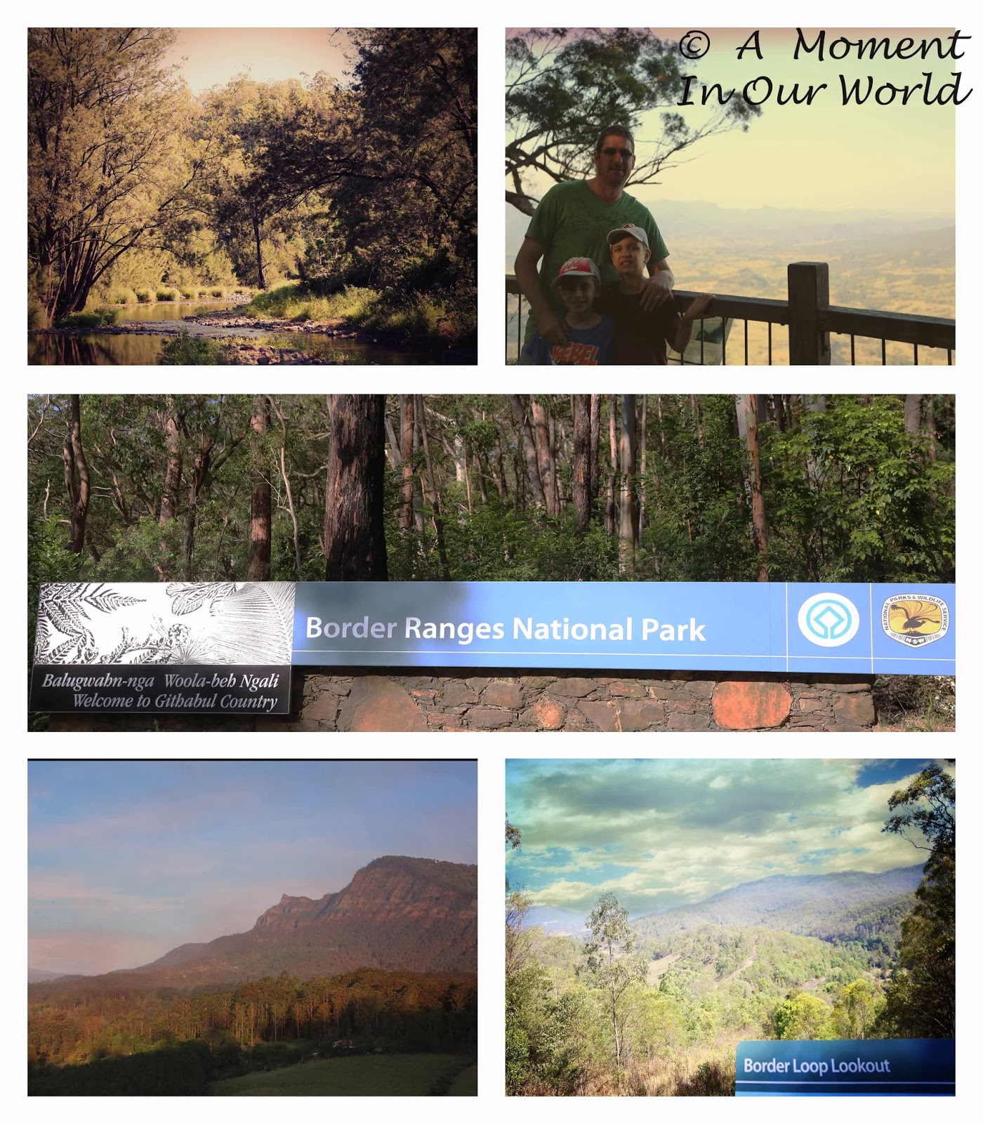 Border Ranges National Park - Simple Living. Creative Learning