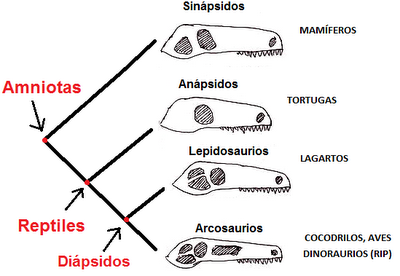 LIGHT OF ORION: Aníbal y los dinosaurios v.s. Roma y los sinápsidos ...
