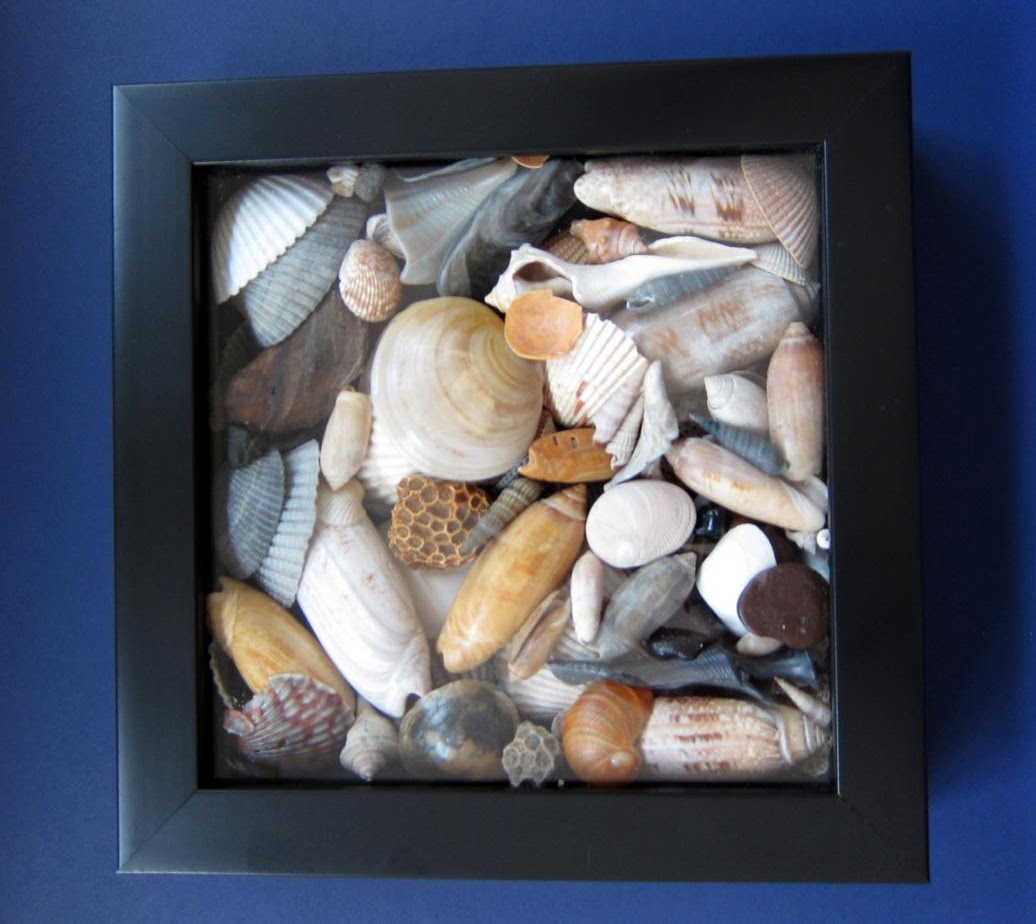 I Can't Keep Up with a Blog ...: A Pinterest Inspired Shell Craft