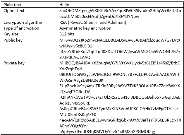 Encryption to take secure programming a step forward