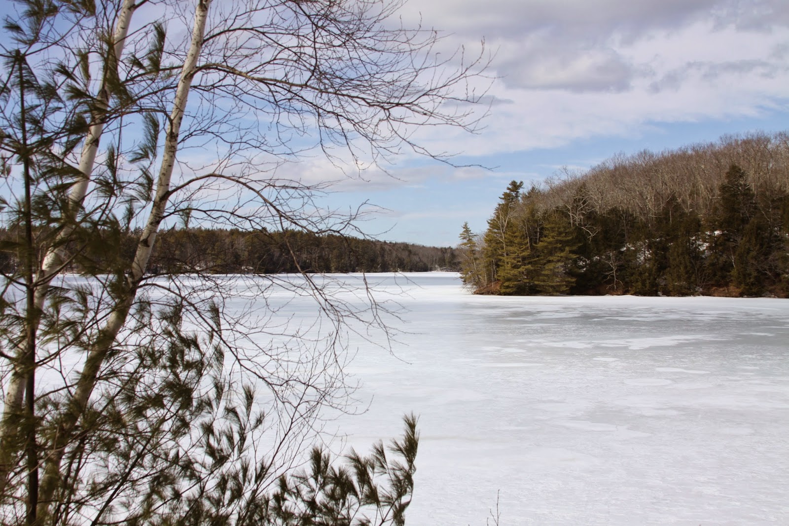 Pleasant Point Park - Buxton, Maine