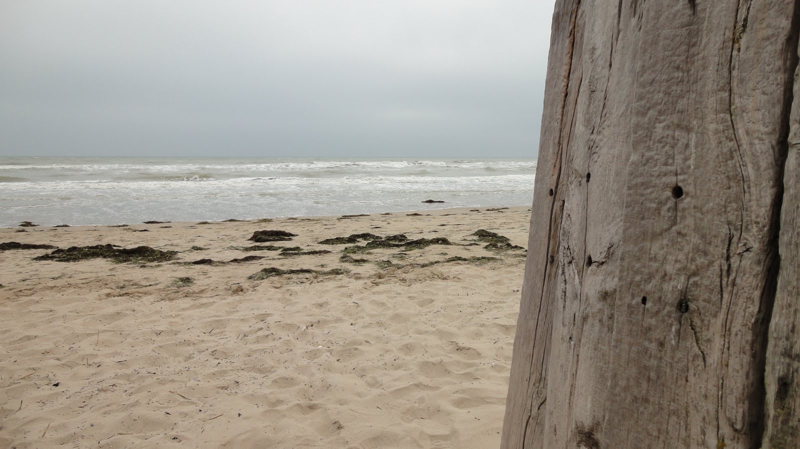 Annie Marek: NormanDy