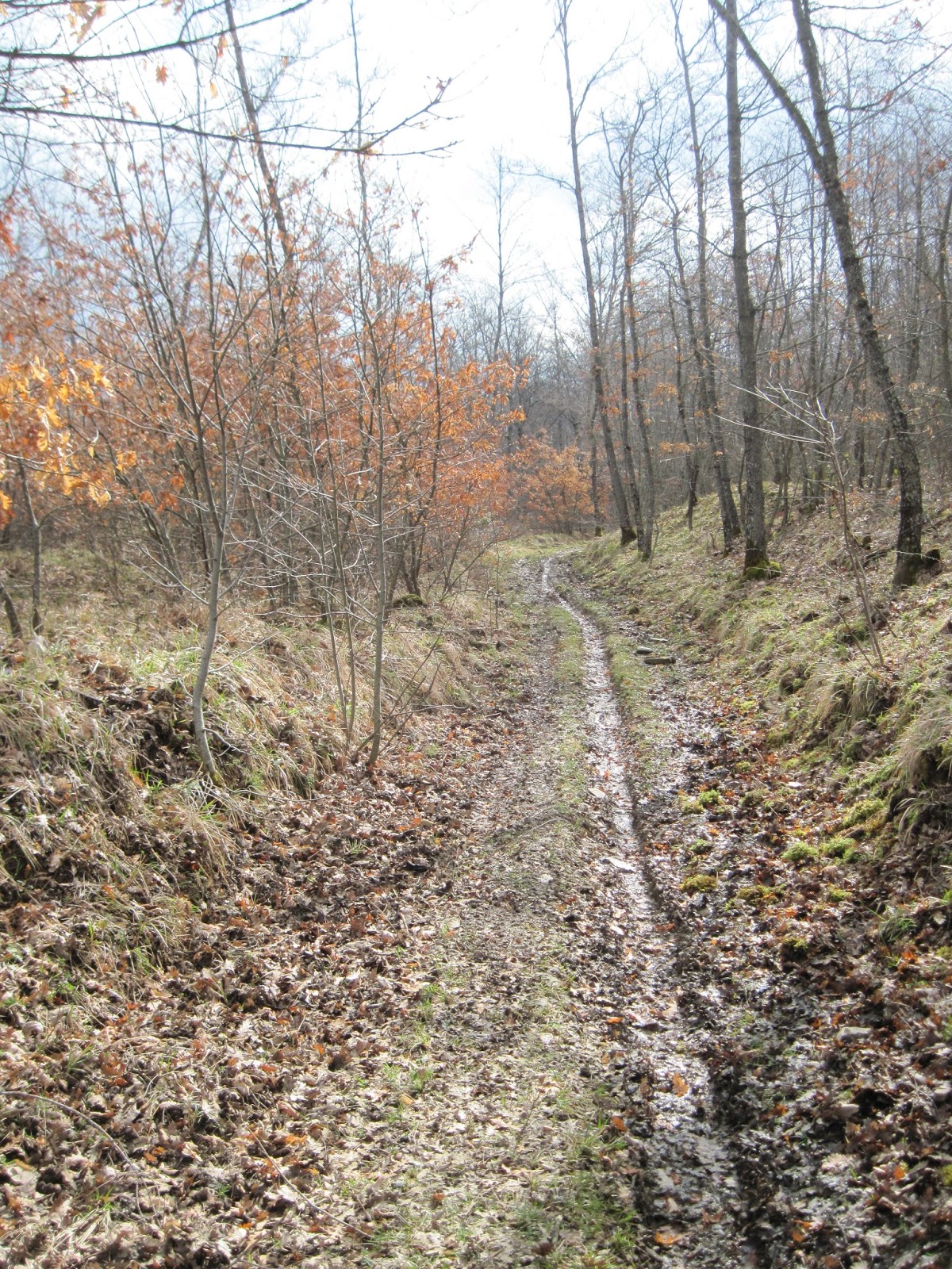 Peace of Tau: A Walk in Mount Subasio Park - Part 1 of 3