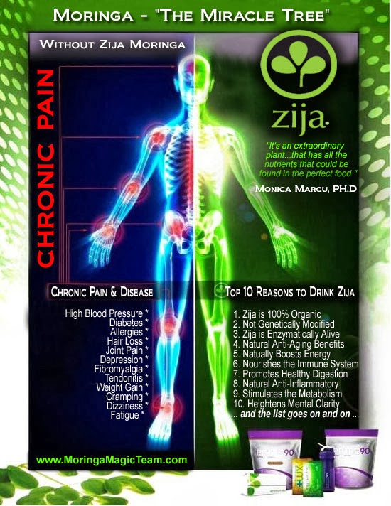 Zija Moringa Kuantan,Pahang Terengganu, Kota bharu, 60-19-859 0888 ...