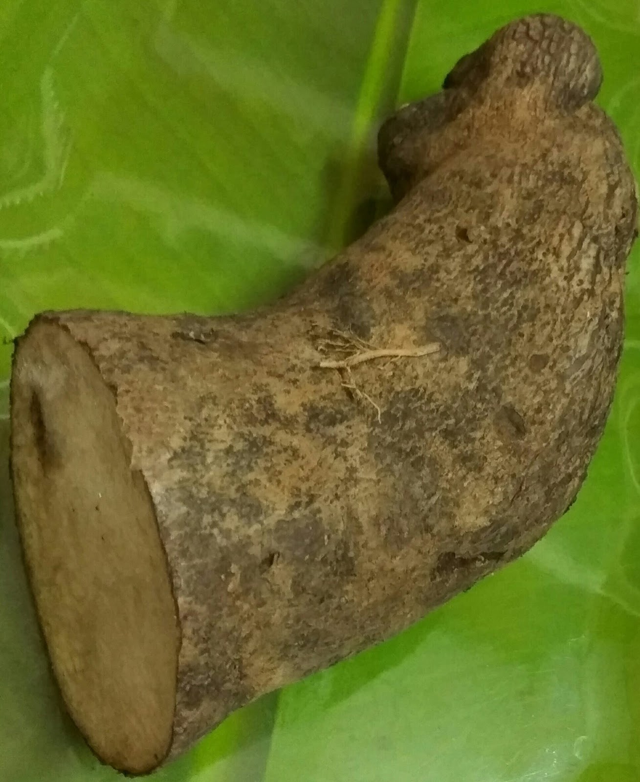 Cooking With Geetha: Kachila Humman / Kachil Humman (Kochi GSB Konkani ...