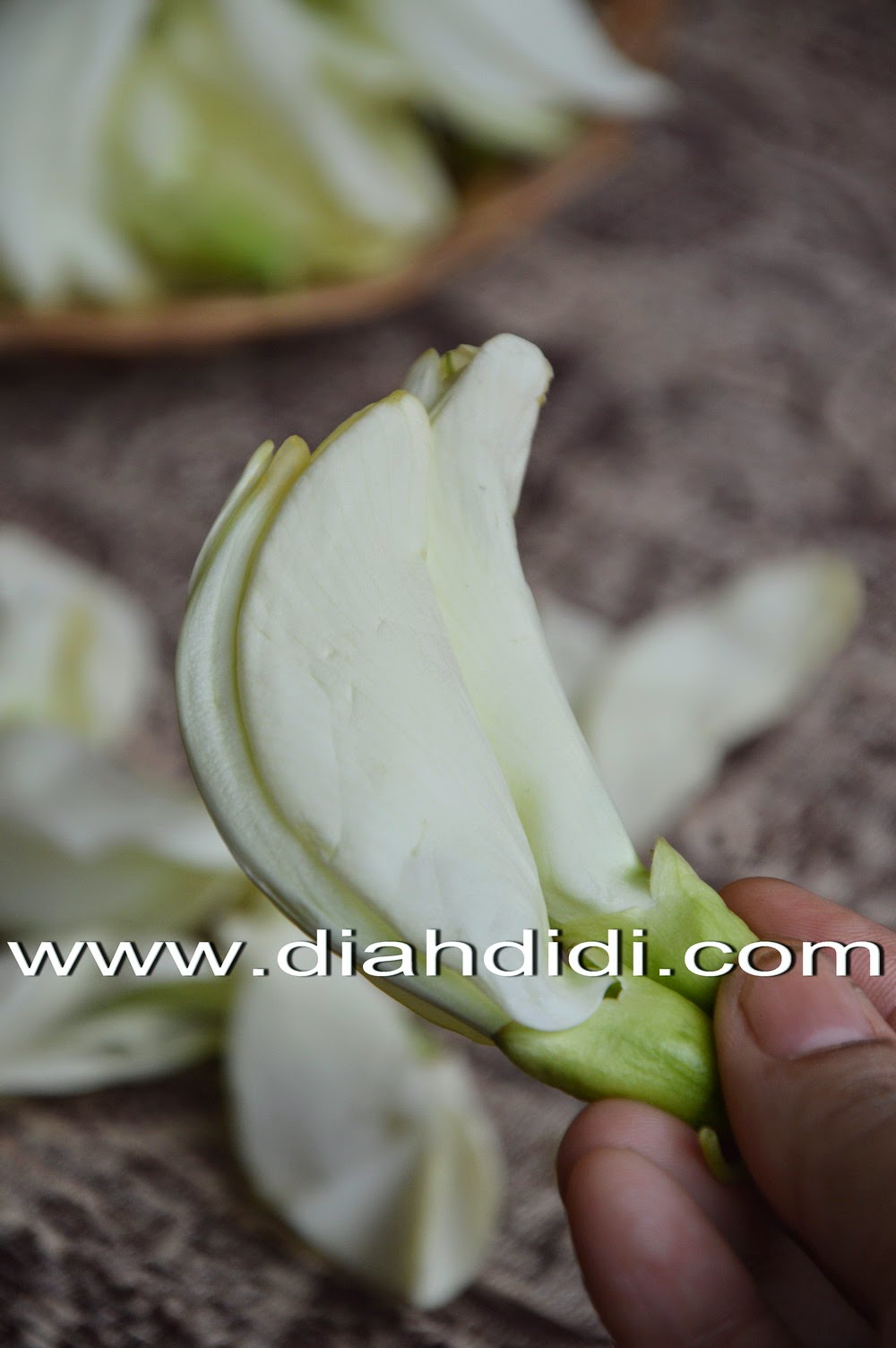 Diah Didi's Kitchen: Kangen Pecel Kembang Turi....^_^