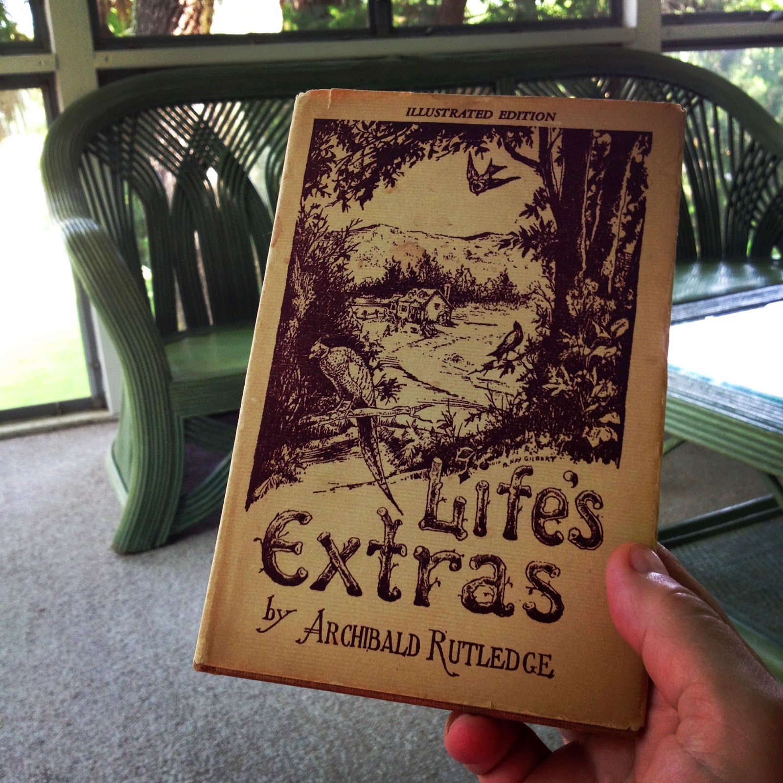 Artful Aspirations by Debbie Bailey