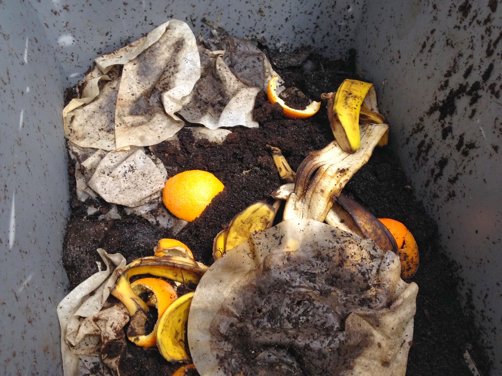 Sankofa Speaks Blog: Composting Part 2 of 2: How to Compost?