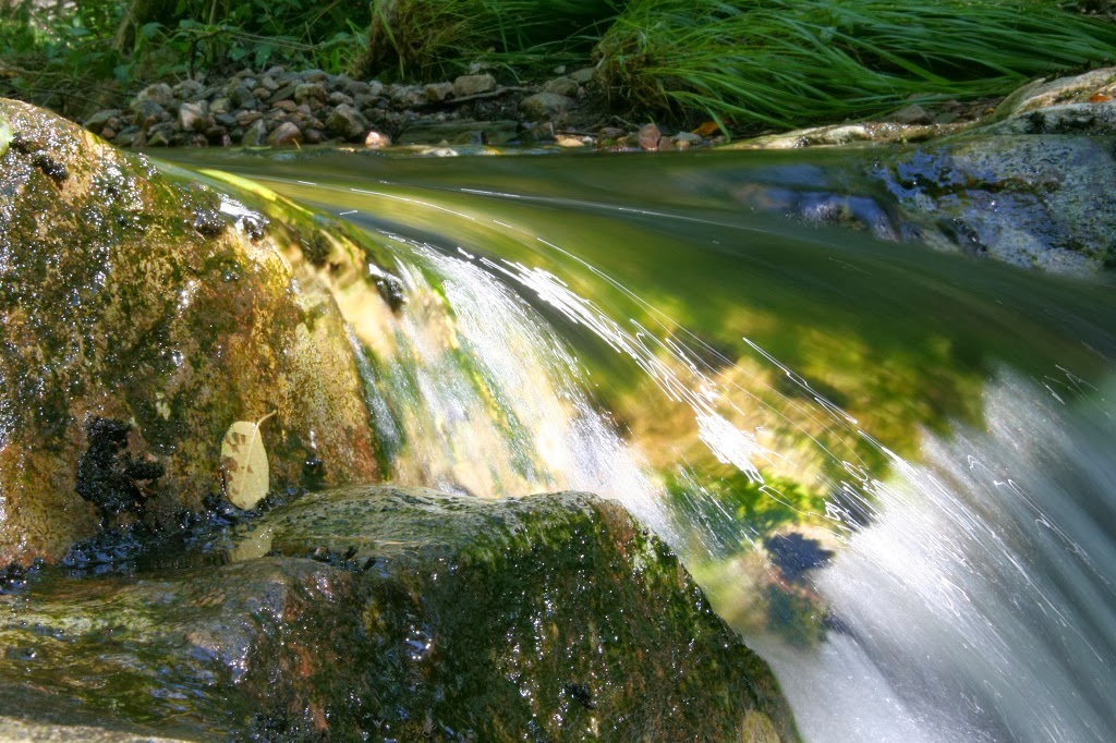 BioFoto Sørlandet: Portrettintervju med Øystein Birkenes