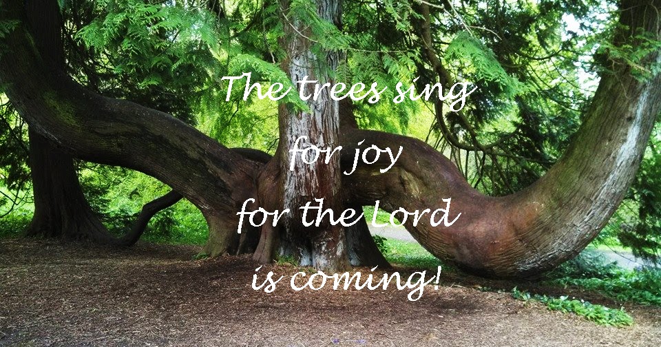 Live Life: The Trees Sing For Joy!