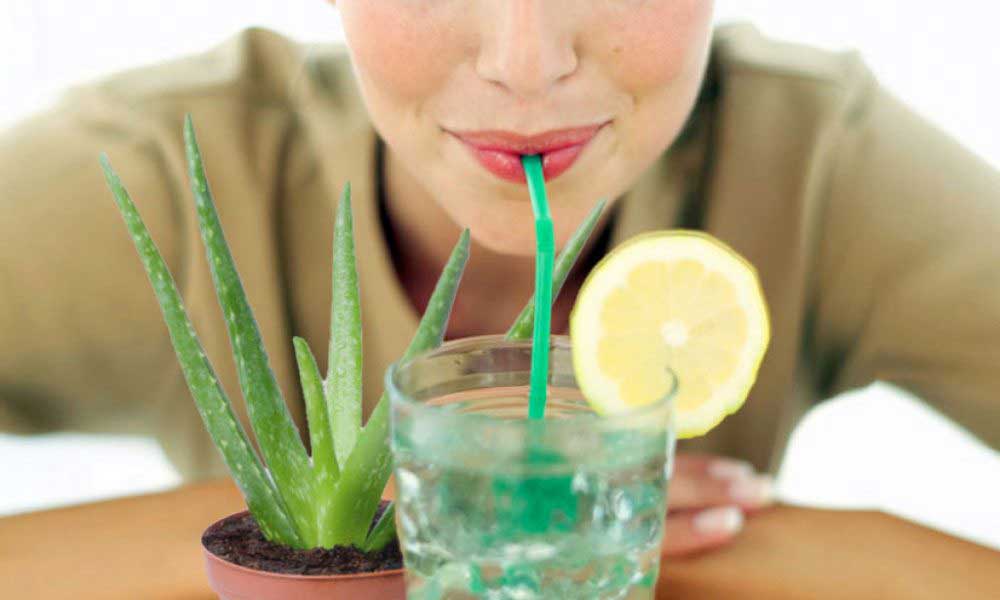 Nopalea juice drink - how good is it