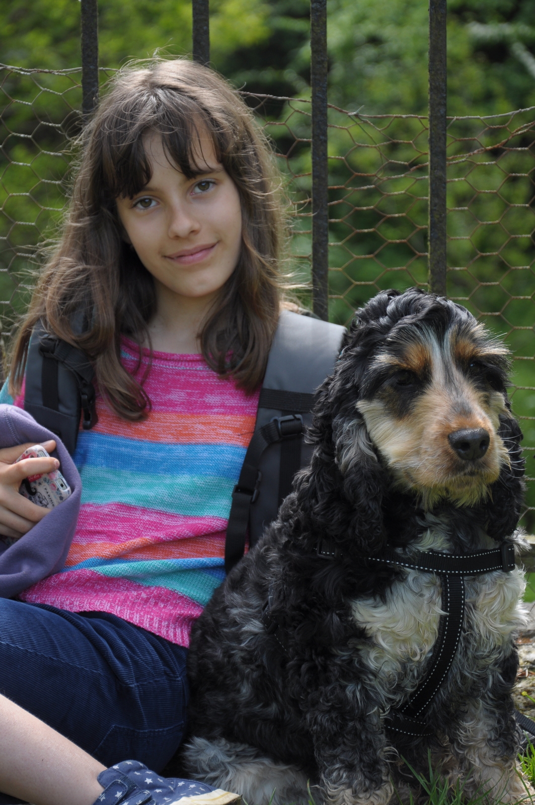 Cats, Dogs and Eiderdowns: Five Go To Forde Abbey ...