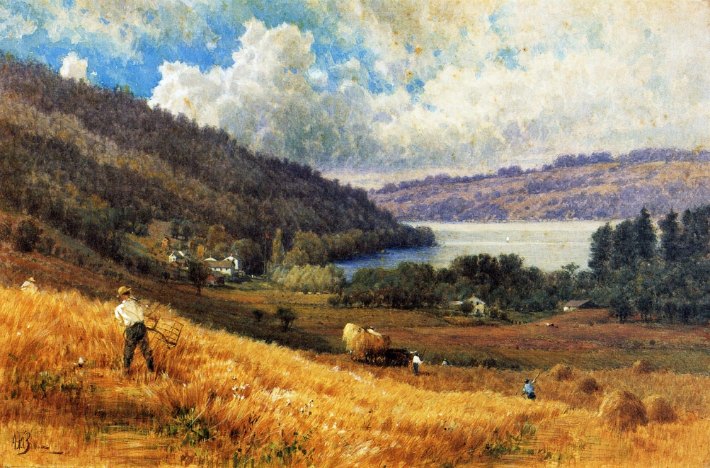 Viático de Vagamundo: In the field by Albert Bellows
