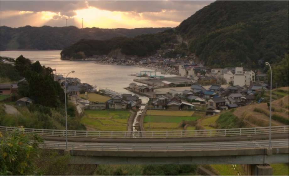 L'Alligatographe: The most beautiful night of the world