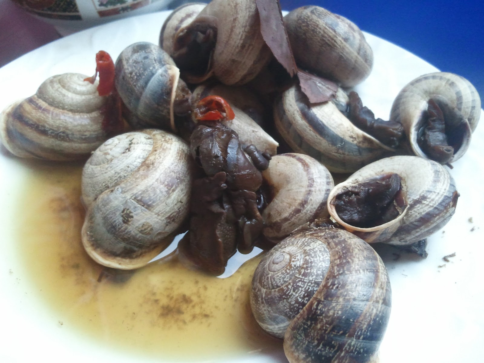 Freedom from the Forbidden: Morocco Journal - Part 4: Eating Snails
