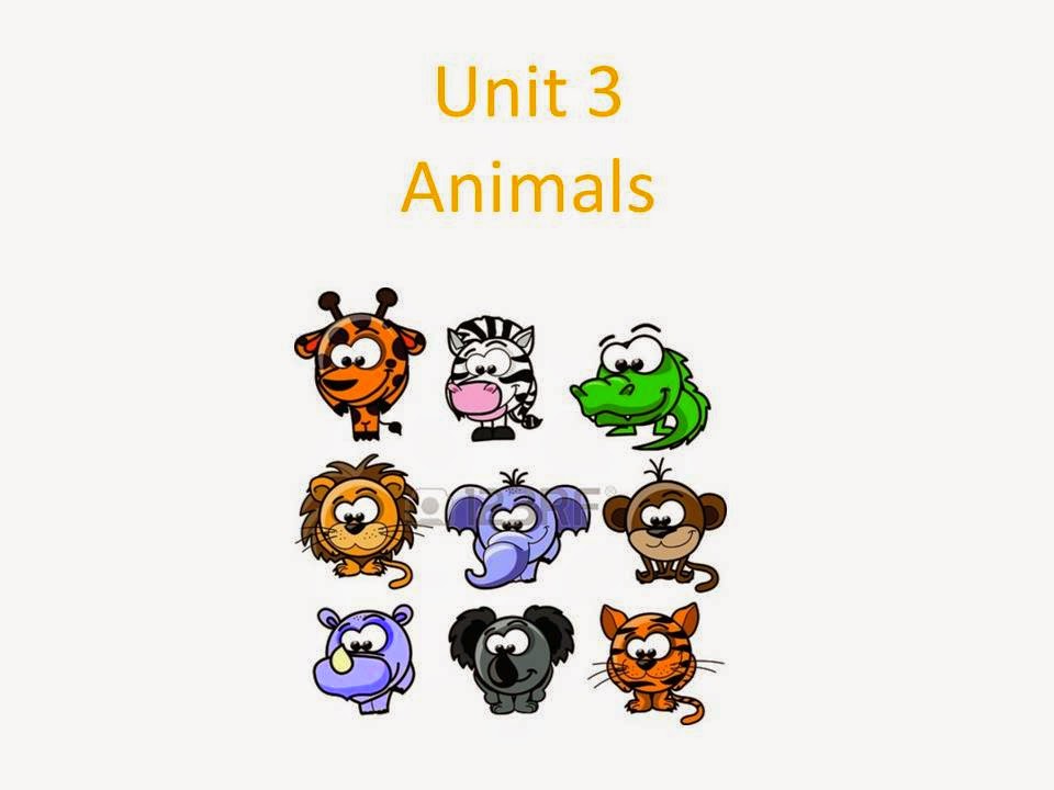 Science for Year 2: Unit 3 Animals
