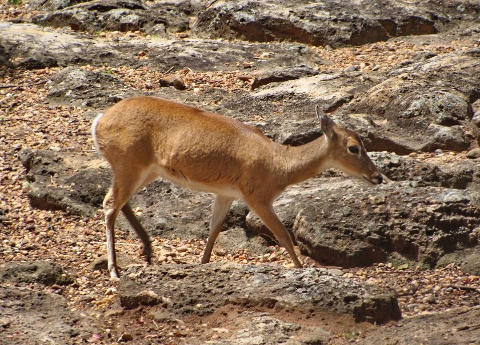 Blog de Arinda: LA NATURALEZA EN TODO SU ESPLENDOR