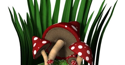 ДИВОВИЖНЕ НАВКОЛО НАС Блог вчителя біології Поліщук Наталії Ігорівни ...