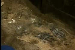 Seeks Ghosts: The Black Hope Haunting