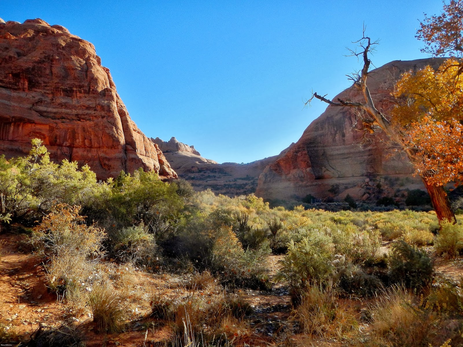 The Southwest Through Wide Brown Eyes: Kane Springs, a Historic Rest Stop.