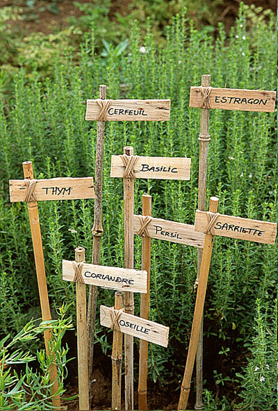 Garden Marker Ideas Gardening Stuff Garden Marker Ideas Gardening Stuff