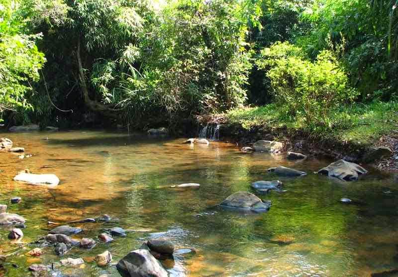 Dabbe Falls Sirsi Attractions