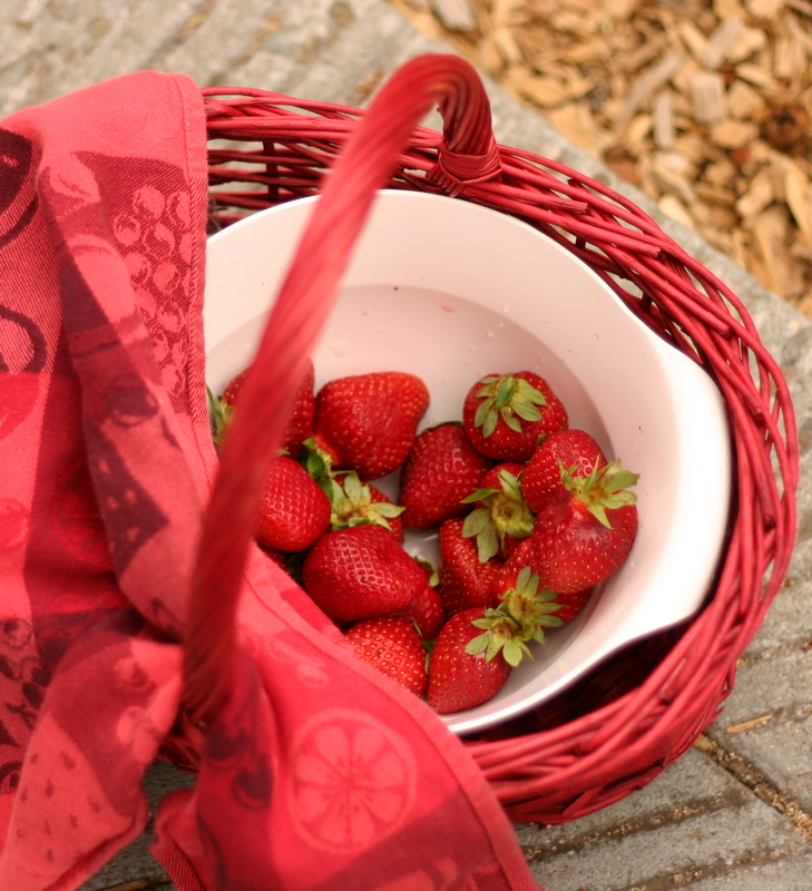 Cook Play Explore: Strawberry Season Special - Cheers Strawberries Cocktail