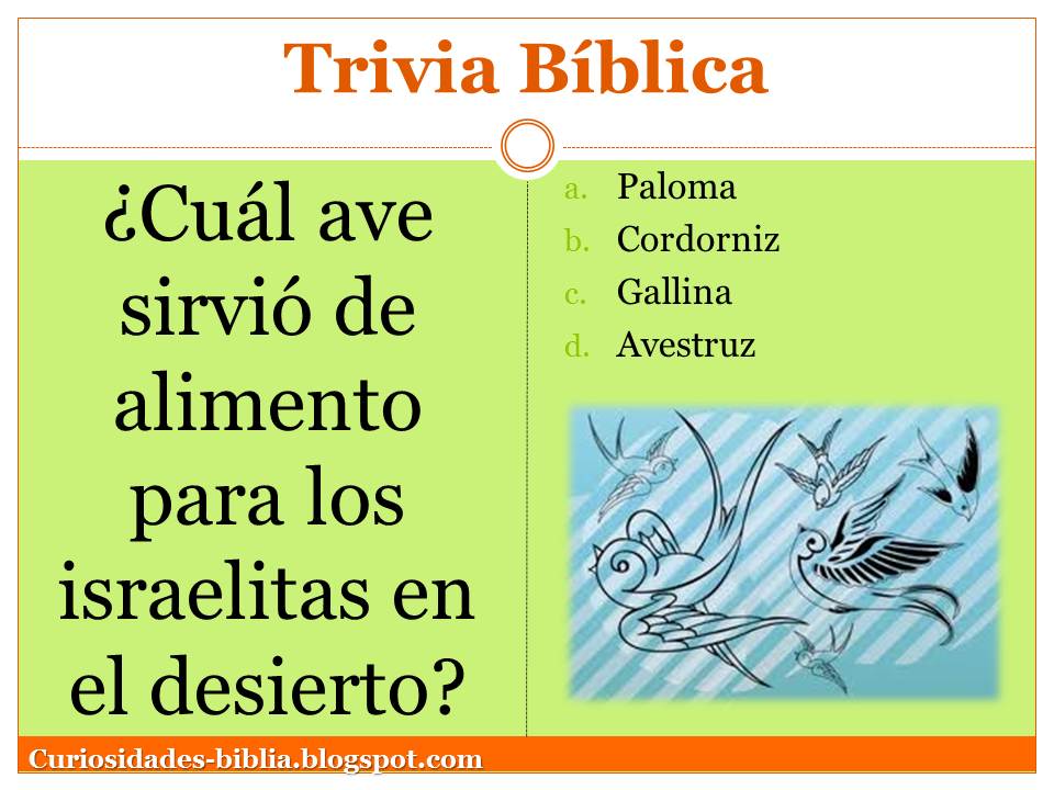 Trivias bíblicas - Imagui