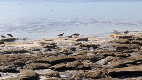 Bonds Cay, Berry Islands, Bahamas