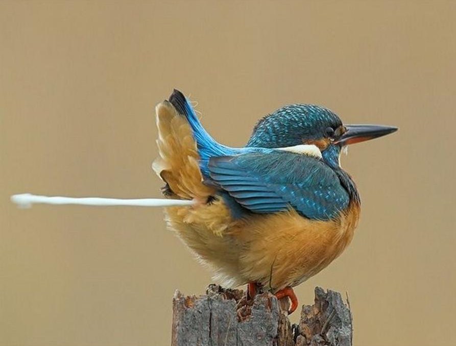 Reflexiones del día