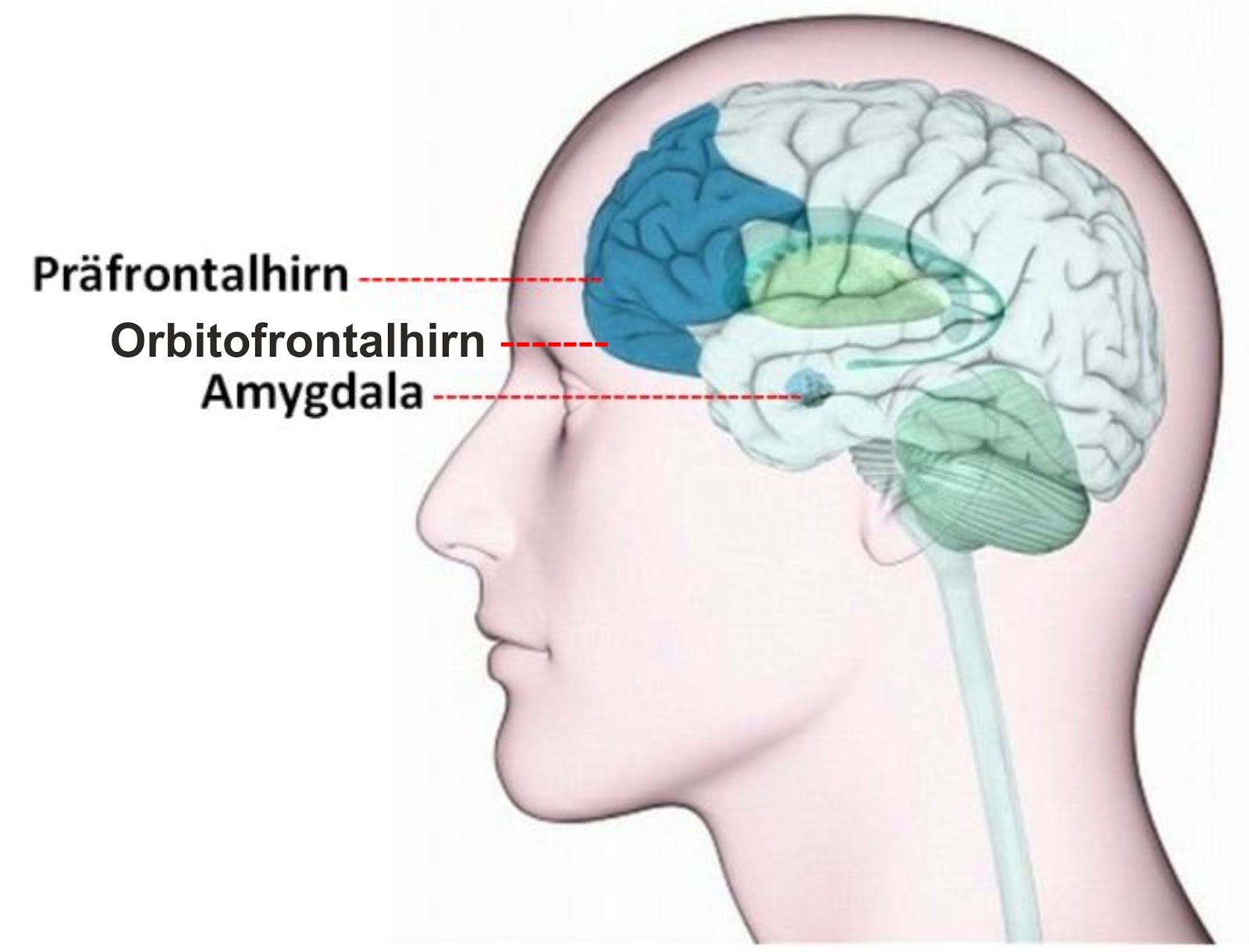 Eggetsberger-Info, Blogger, Blog: 05/01/2010 - 06/01/2010