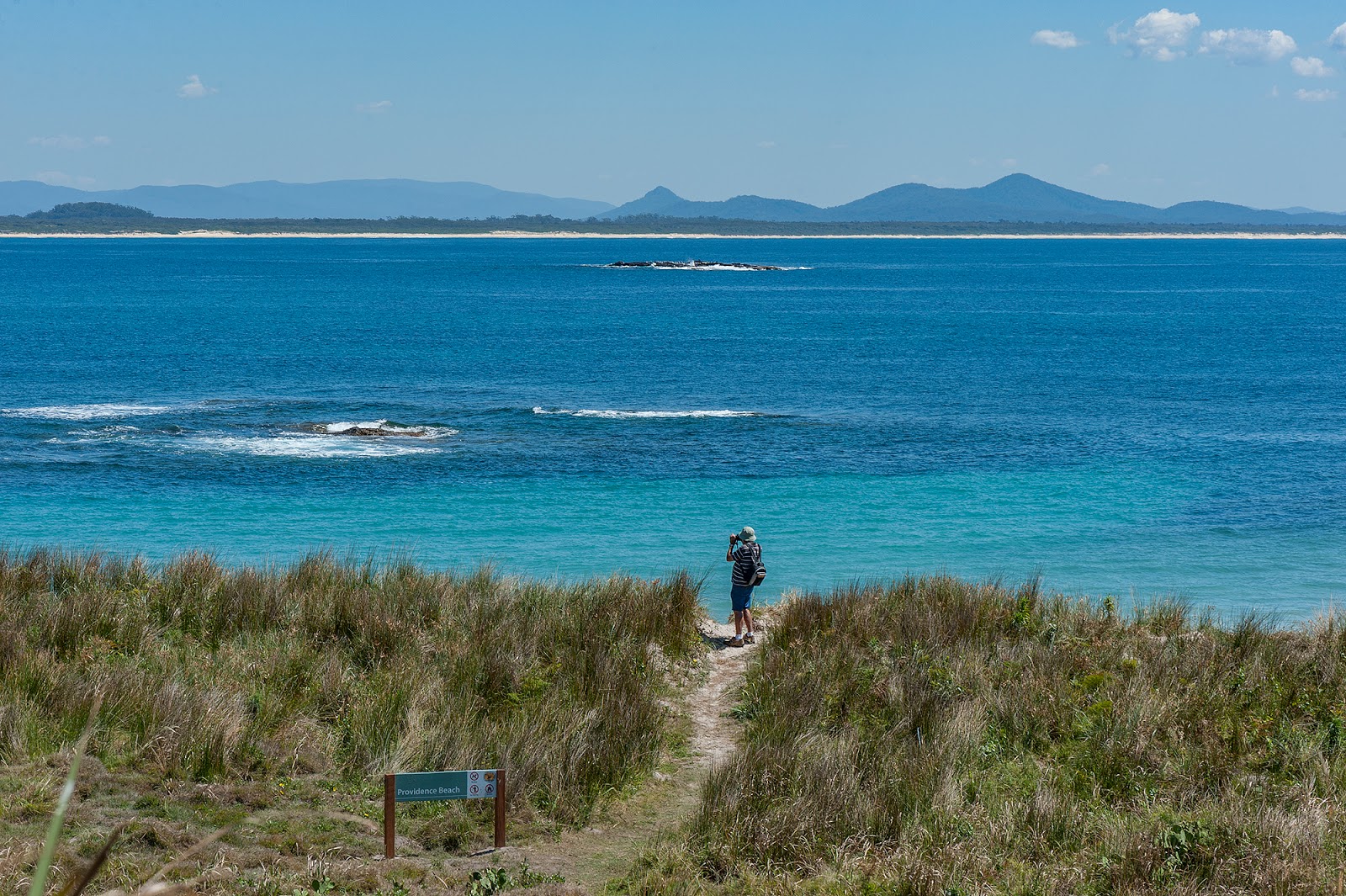 Wildlife of the Hunter Valley: 2016